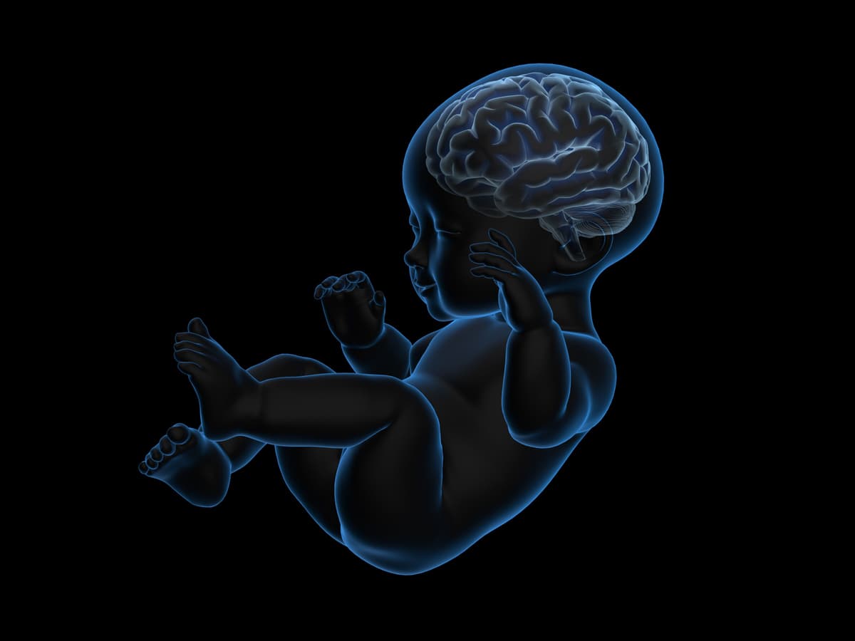 Packages | Early, 2D, 4D & Reassurance Scans | Baby Grows